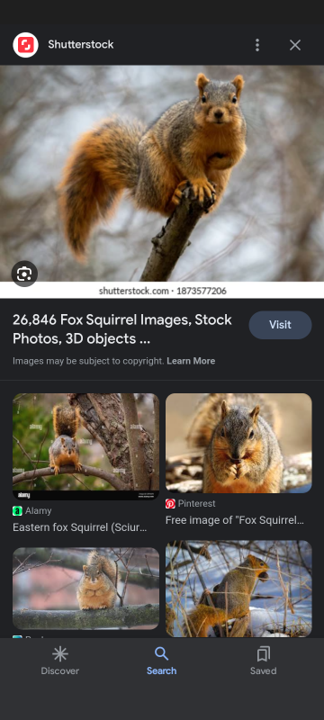 On The Way Home From Work - Trapperman Forums